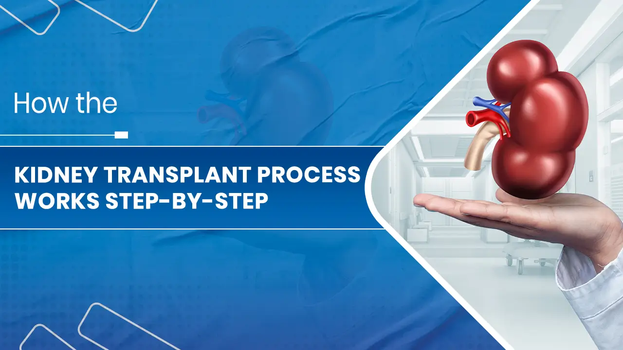 Latest Health & Wellness Blogs